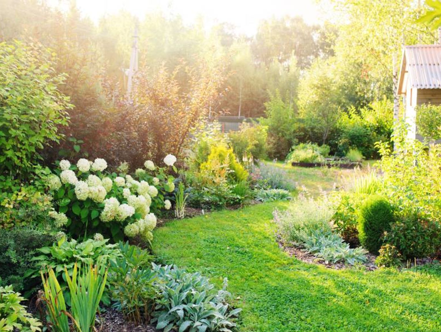 7 Eco-Friendly Landscaping Tips for a Greener Yard