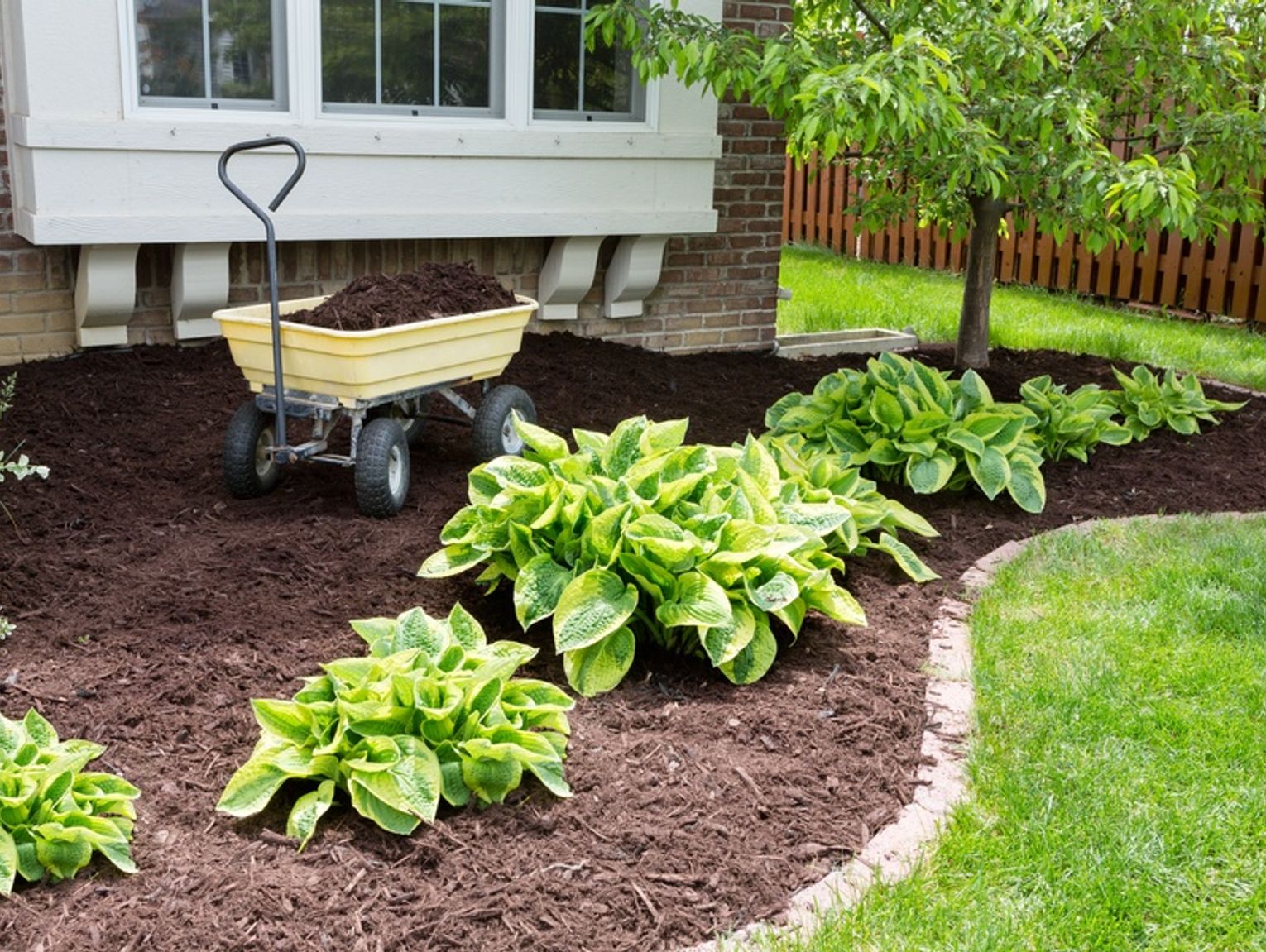 Creative Ways To Use Forage and Mulch Around Your Homestead